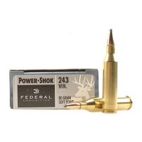 243 Winchester Ammo | In Stock 243 Winchester Ammunition - AmmoBuy