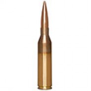 300 Norma Magnum Ammo - AmmoBuy