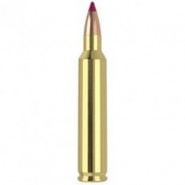 204 Ruger Ammo - AmmoBuy